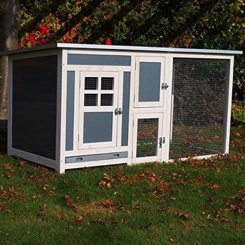 Petit poulailler : lequel acheter ? – Jardingue