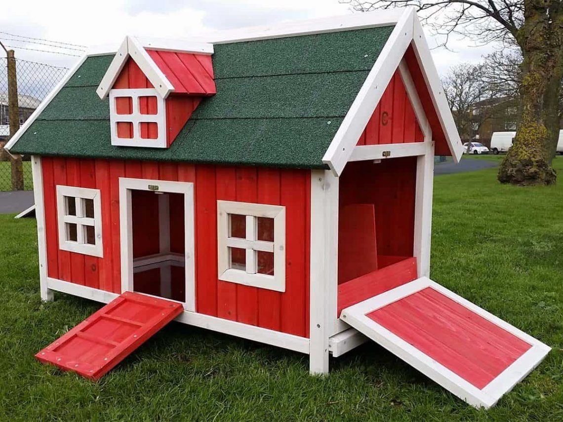 Poulailler design : les meilleurs modèles modernes – Jardingue