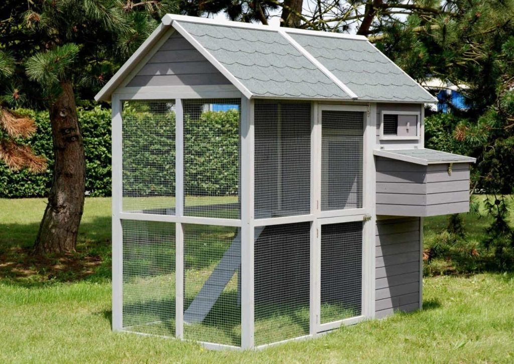 Poulailler XXL : lequel choisir ? – Jardingue