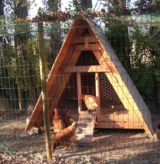 Poulailler en bois : les meilleurs modèles – Jardingue