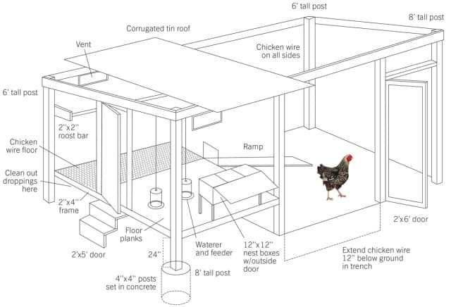 Construire son poulailler : conseils et astuces – Jardingue