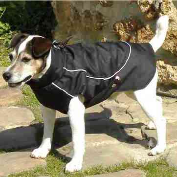 Choisir une couverture pour chien efficace – Jardingue