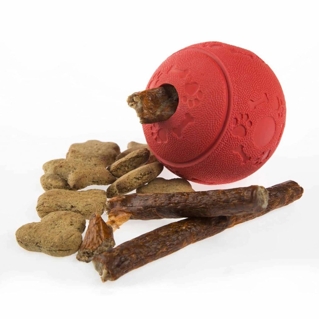 Les meilleures friandises pour chien – Jardingue