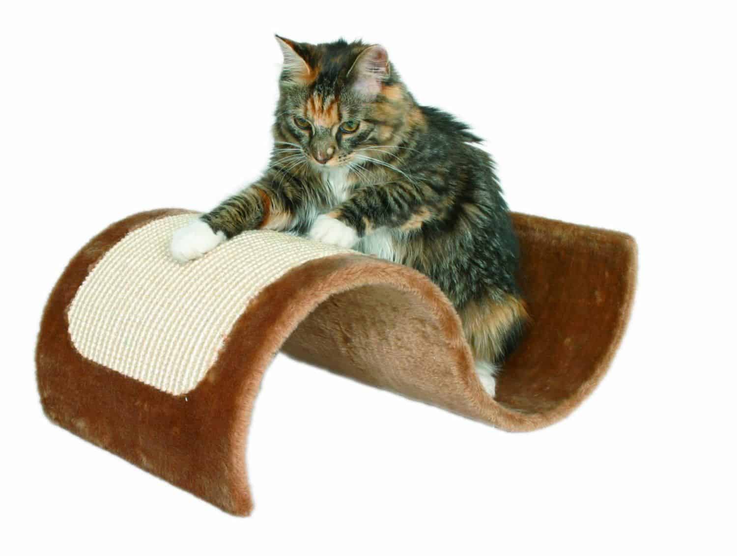 Griffoir chat, les meilleurs modèles – Jardingue