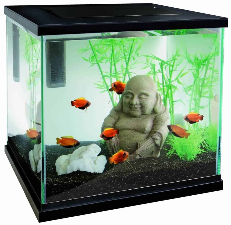 Décoration aquarium : le comparatif complet – Jardingue