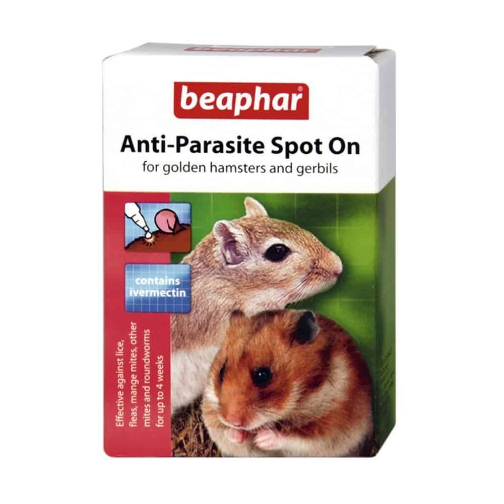 Parasite du hamster : quel traitement ? – Jardingue