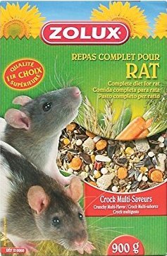 Soin et hygiène du rat domestique – Jardingue