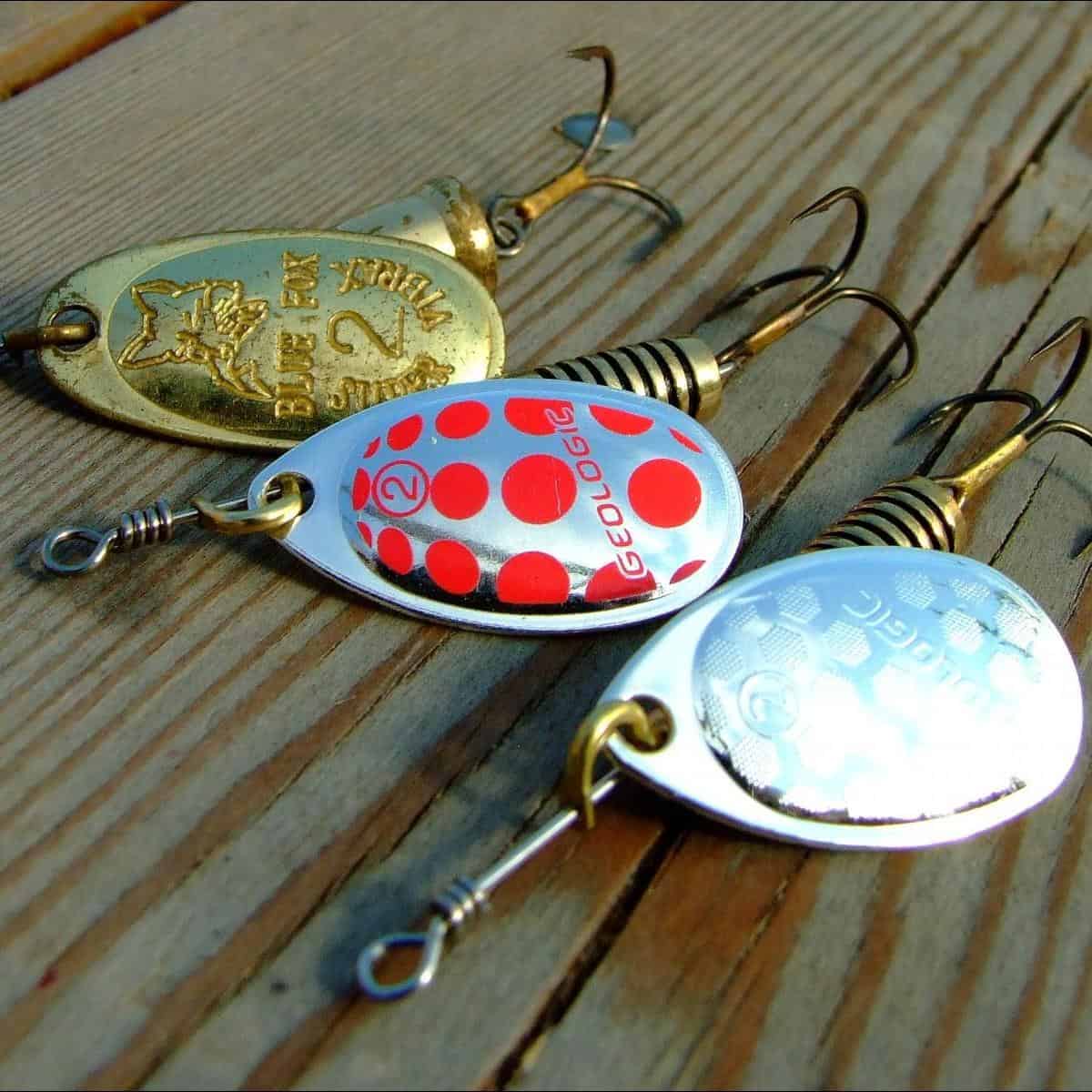 Nos 6 cuillères préférées pour sortir du poisson facilement – Jardingue