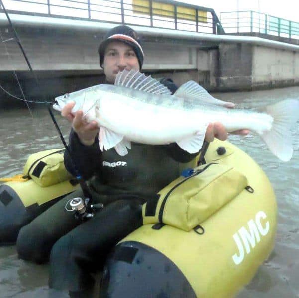 Silure et poissons chats : quel équipement choisir ? – Jardingue