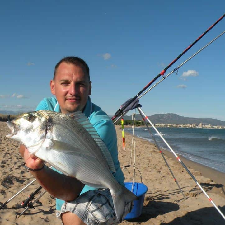 Dorade : le guide d’achat Jardingue – Jardingue